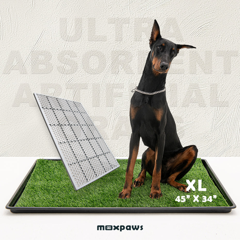Artificial Grass Pads for Dogs – Pet-Friendly & Easy to Clean – MeexPaws